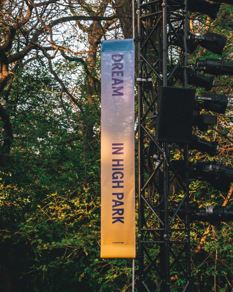 Dream in High Park – Puncture Design